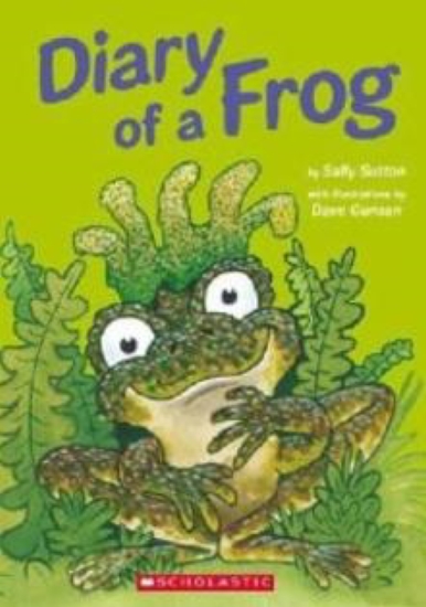 Product: DIARY OF A FROG - Book - School Essentials