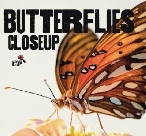 Product: BUTTERFLIES CLOSE UP - Book - School Essentials