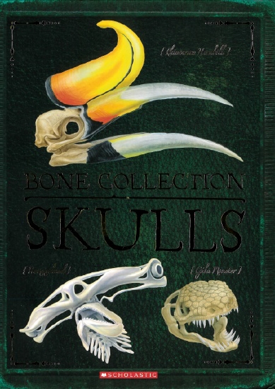 The Store - SKULLS BONE COLLECTION - Book - The Store