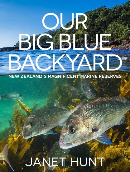 Product: OUR BIG BLUE BACKYARD - Book - School Essentials