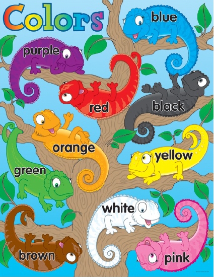 The Store - COLOUR CHAMELEONS CHART - Teacher Resource - The Store