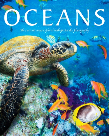 The Store - OCEANS - Book - The Store
