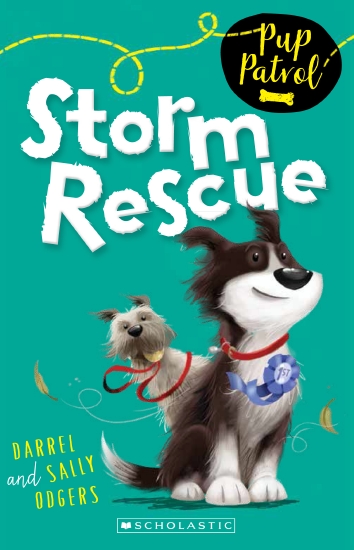 The Store - STORM RESCUE #3 - Book - The Store