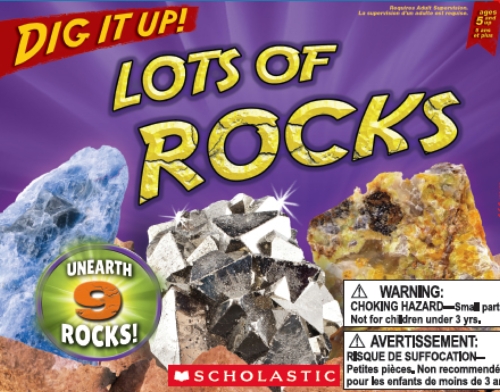 The Store - DIG IT UP LOTS OF ROCKS - Other - The Store