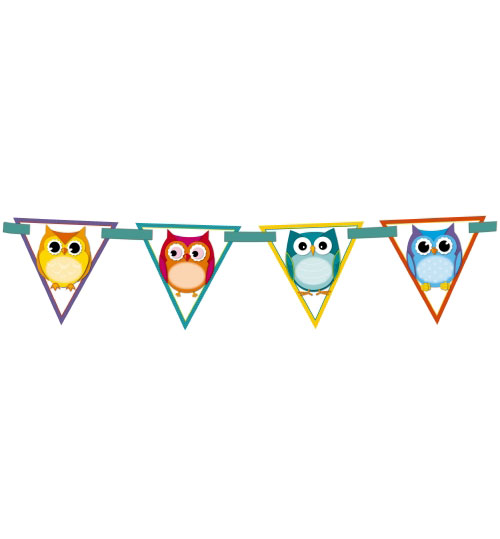 Product: COLOURFUL OWLS BANNER - Teacher Resource - School Essentials