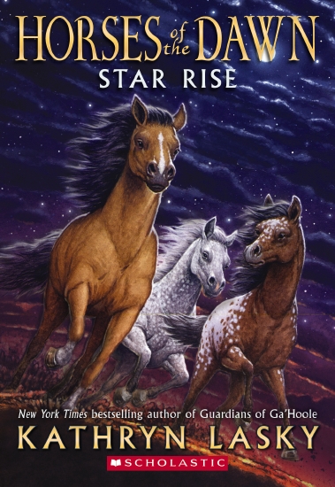 The Store - STAR RISE - Book - The Store