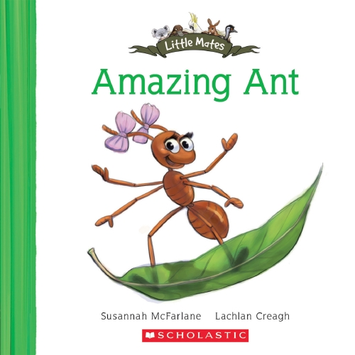 Product: AMAZING ANT - Book - School Essentials