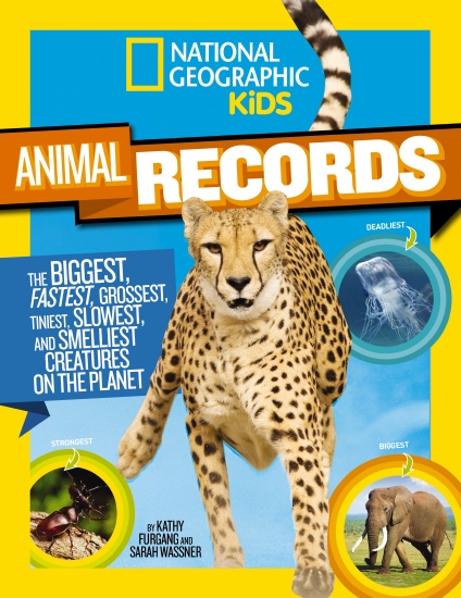 The Store - ANIMAL RECORDS - Book - The Store