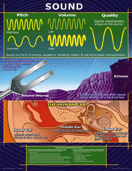 The Store - SOUND CHART - Teacher Resource - The Store