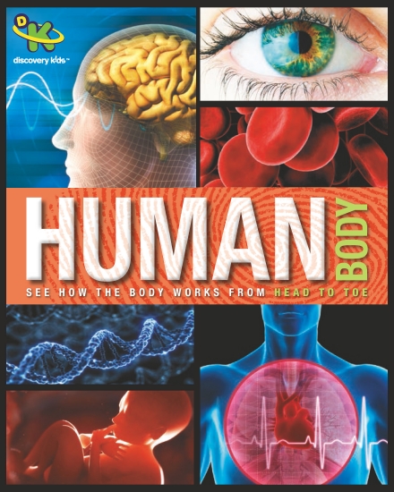 The Store - DISCOVERY KIDS HUMAN BODY - Book - The Store