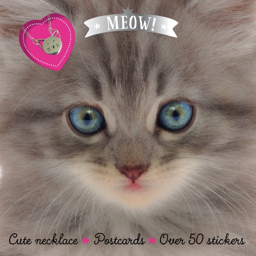 The Store - MEOW! - Book - The Store