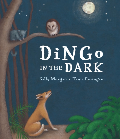 The Store - DINGO IN THE DARK HB - Book - The Store