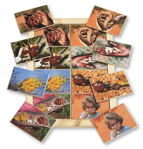 Product: BUSH TUCKER MEMORY GAME - Toy/Game - School Essentials