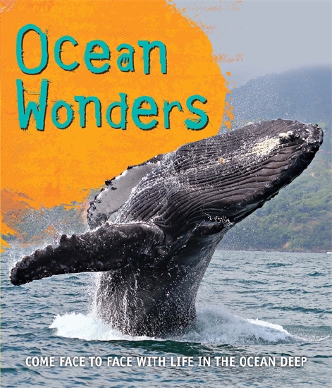 The Store - OCEAN WONDERS - Book - The Store