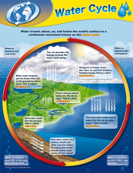 The Store - WATER CYCLE CHART - Teacher Resource - The Store