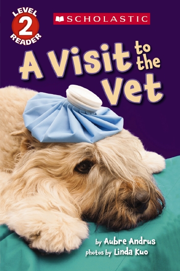 The Store - Visit to the Vet, A - Book - The Store