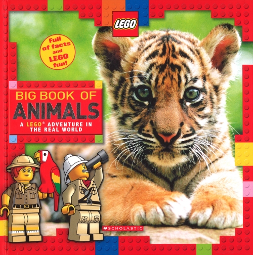The Store - Big Book of Animals - Book - The Store