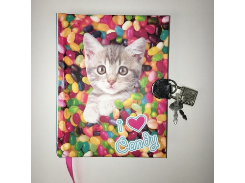 The Store - I LOVE CANDY DIARY - Book - The Store