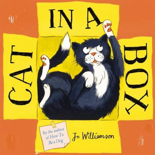 The Store - CAT IN A BOX PB - Book - The Store