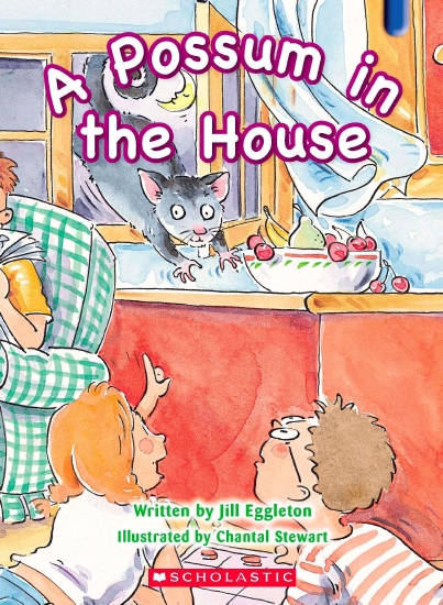 Product: Key Links Blue 17: Possum In the House - Book - School Essentials