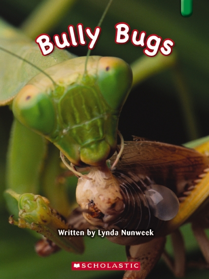 Product: Key Links Green 14: Bully Bugs - Book - School Essentials
