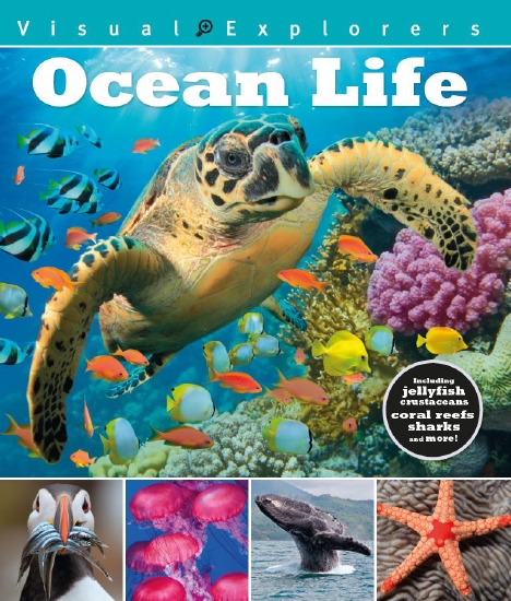 The Store - OCEAN LIFE - Book - The Store