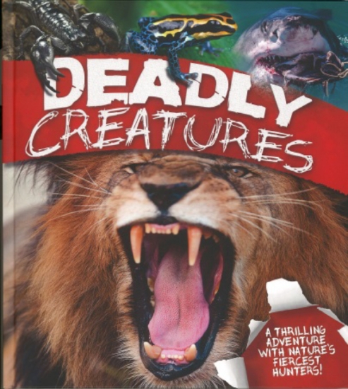 The Store - DEADLY CREATURES PB - Book - The Store