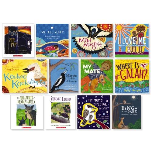 The Store - INDIGENOUS PICTURE BOOK COLL - Pack - The Store
