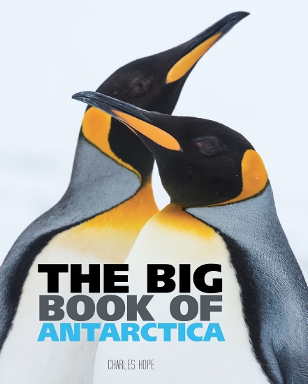 Product: BIG BOOK OF ANTARCTICA - Book - School Essentials