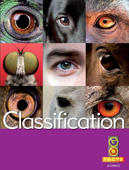 The Store - CLASSIFICATION - Book - The Store