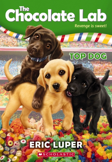 The Store - TOP DOG - Book - The Store