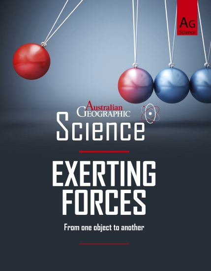 The Store - EXERTING FORCES - Book - The Store