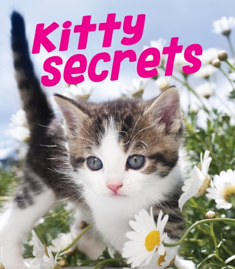 Product: Kitty Secrets - Book - School Essentials