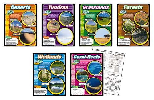 The Store - HABITATS COMBO PACK - Teacher Resource - The Store