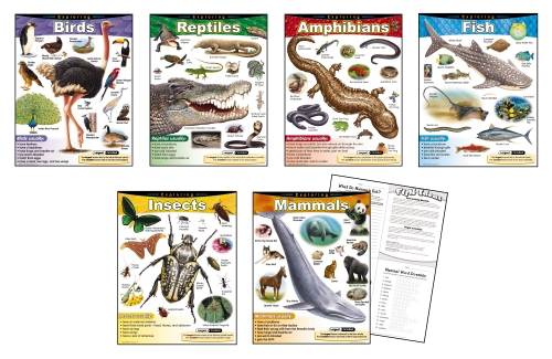 The Store - ANIMAL DIVERSITY LEARNING PACK - Teacher Resource - The Store