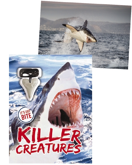 The Store - KILLER CREATURES PACK - Pack - The Store