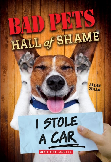 Product: BAD PETS HALL OF SHAME - Book - School Essentials