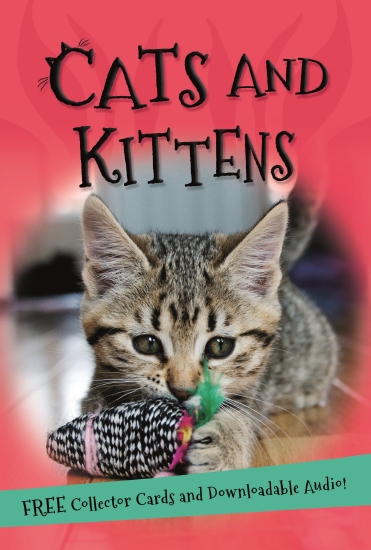 The Store - CATS AND KITTENS - Book - The Store