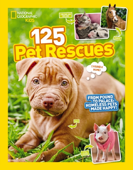 The Store - 125 PET RESCUES - Book - The Store