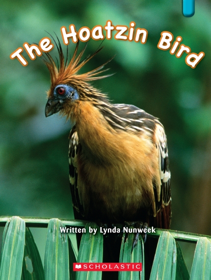 Product: Key Links Turquoise: Hoatzin Bird - Book - School Essentials