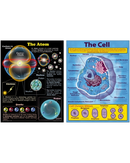 The Store - SCIENCE CHARTS 2 PACK - Pack - The Store