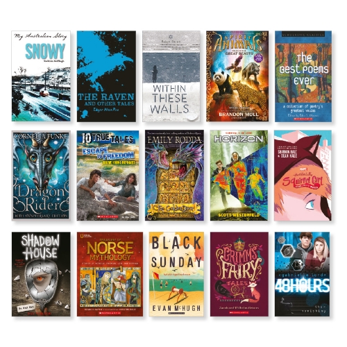 The Store - 15 BOOKS UP (SILVER) - Pack - The Store