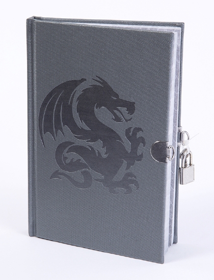 The Store - DRAGON DIARY GREY - Book - The Store