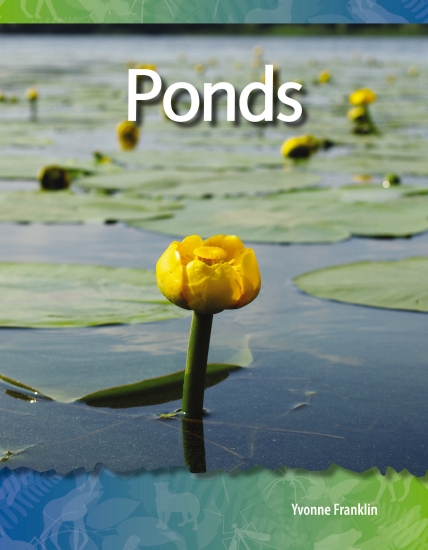 The Store - PONDS - Book - The Store