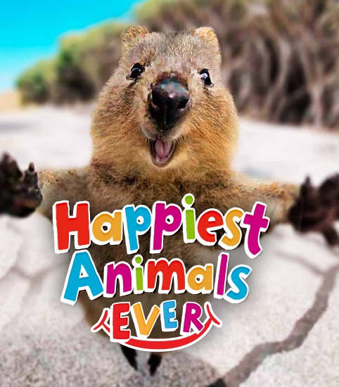 Product: HAPPIEST ANIMALS EVER - Book - School Essentials