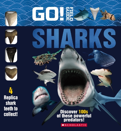 Product: Go! Field Guide: Sharks - Book - School Essentials