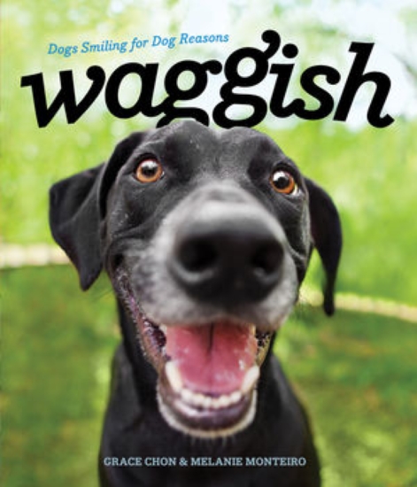 The Store - Waggish - Book - The Store