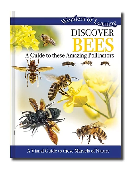 Product: DISCOVER BEES - Book - School Essentials