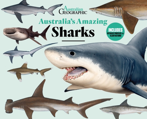 The Store - Australia's Amazing Sharks - Book - The Store