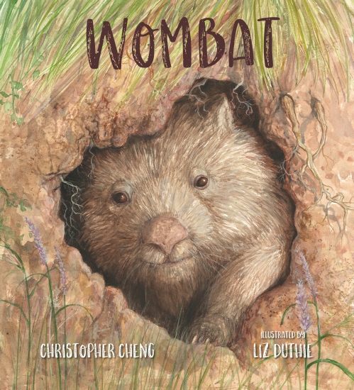 The Store - WOMBAT - Book - The Store
